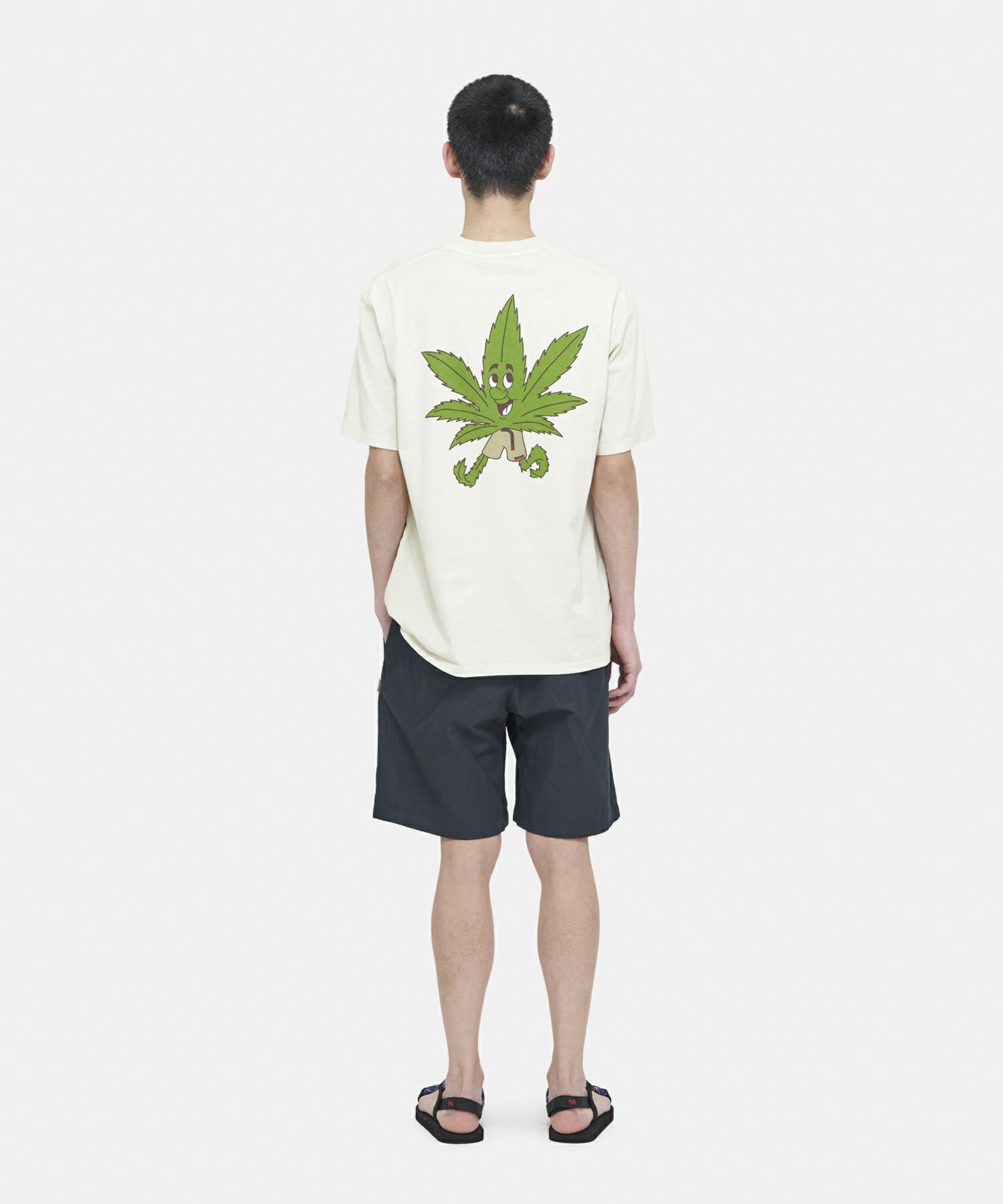 GRAPHIC | グラミチ 公式通販サイト Gramicci Online Store